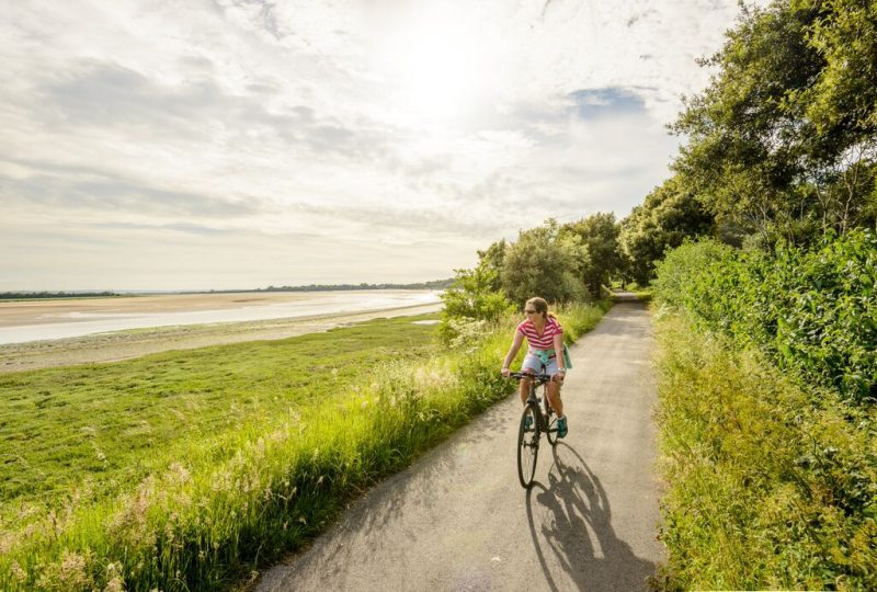 Cycle trails - Travel Devon